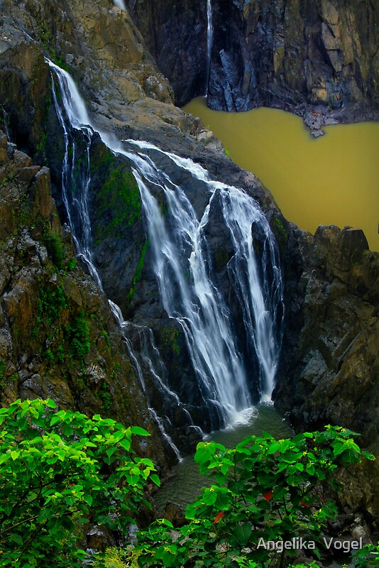"Waterfall in Kuranda, Barron National Park" by Angelika Vogel | Redbubble