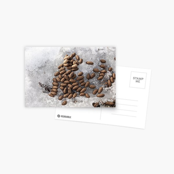 "Moose poop" Postcard for Sale by Scandinavian | Redbubble