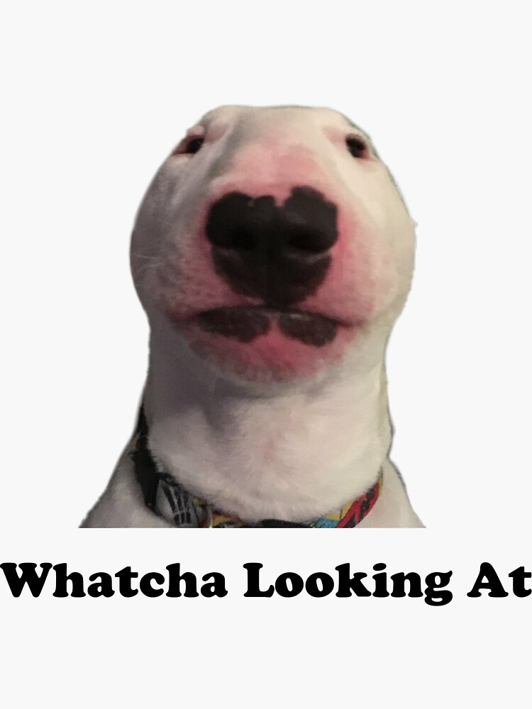 "Funny Walter The Dog Meme" Sticker for Sale by Daniel-97 | Redbubble