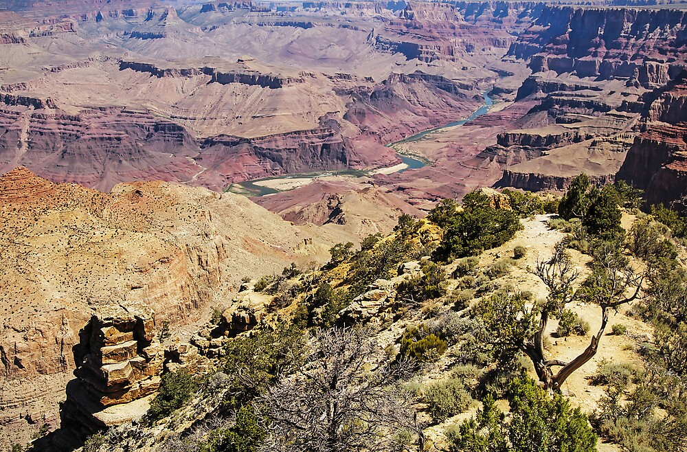 "View from Yavapai Point, Grand Canyon, Arizona, USA" by TonyCrehan ...