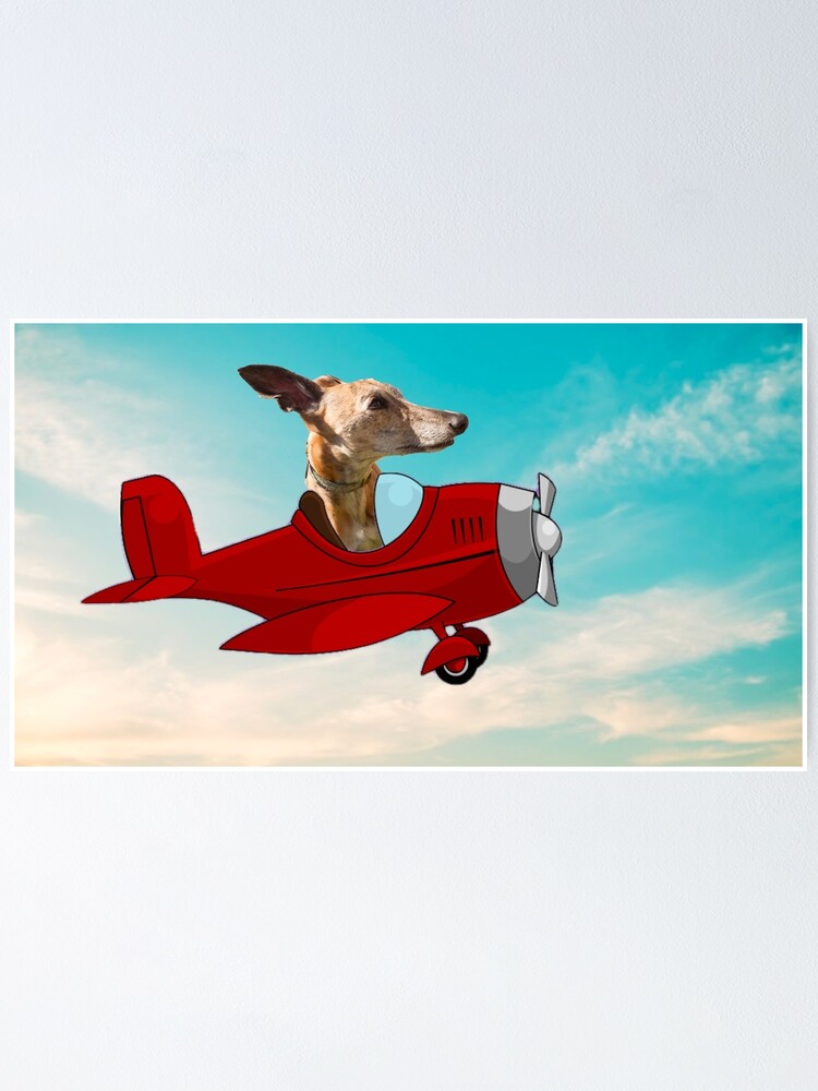 "Red background flying whippet" Poster by Buddy-the-Muddy | Redbubble