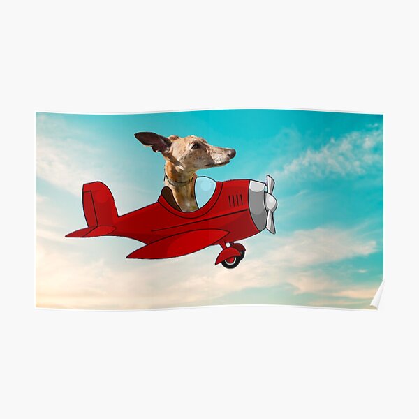 "Red background flying whippet" Poster by Buddy-the-Muddy | Redbubble