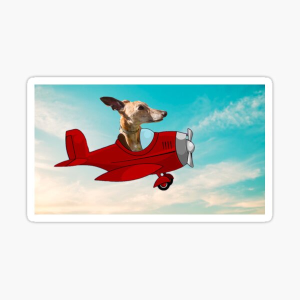 "Red background flying whippet" Sticker for Sale by Buddy-the-Muddy ...