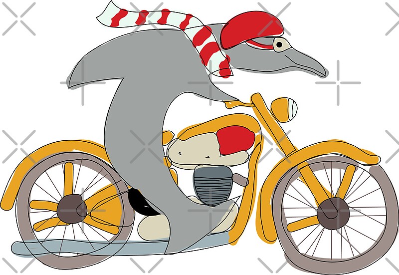 "Dolphin Riding a Motorcycle" by Kate Foray | Redbubble