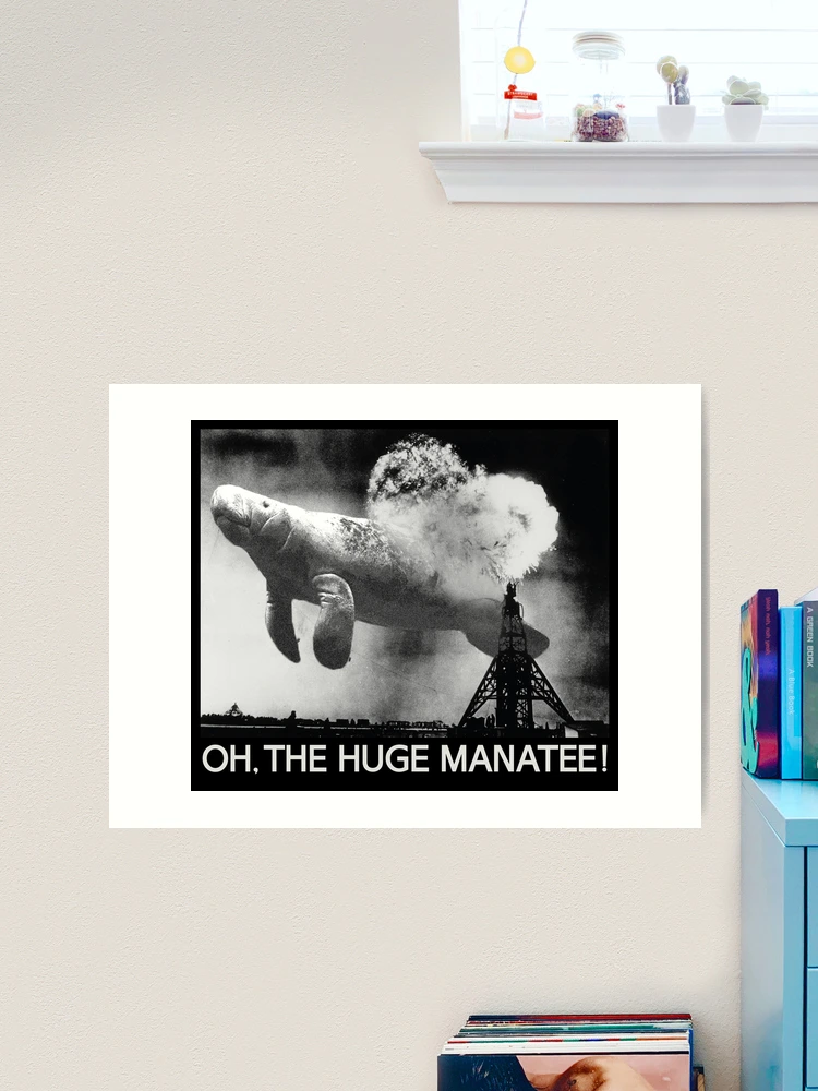 Oh Den Enorme Manatee Meme
