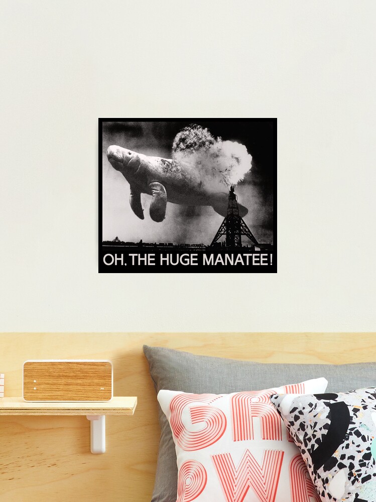 Oh The Huge Manatee Meme