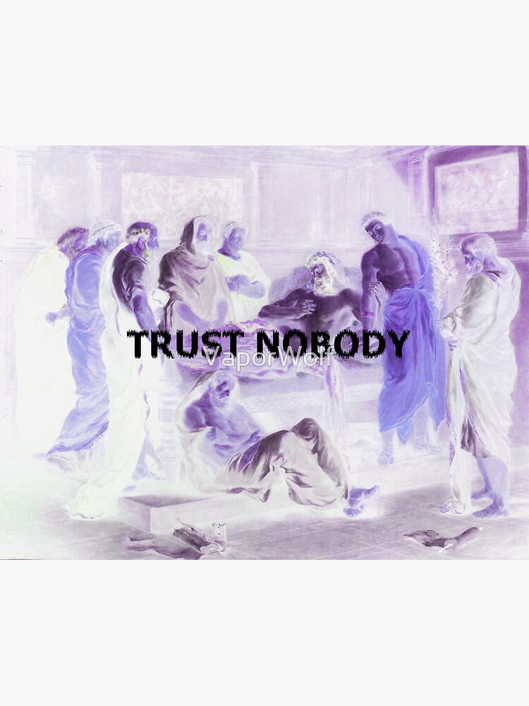 "trust nobody aesthetic" Sticker for Sale by VaporWolf | Redbubble