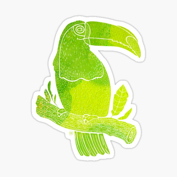 "Toucan (color)" Sticker for Sale by adeillustrator | Redbubble