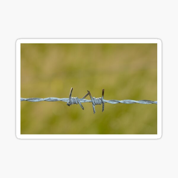 "Barbed wire fence" Sticker by Claudia-Evans | Redbubble