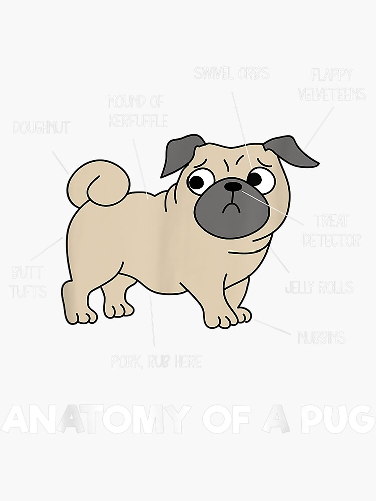 Pegatina «Anatomía de las partes del cuerpo de un perro pug divertido ...