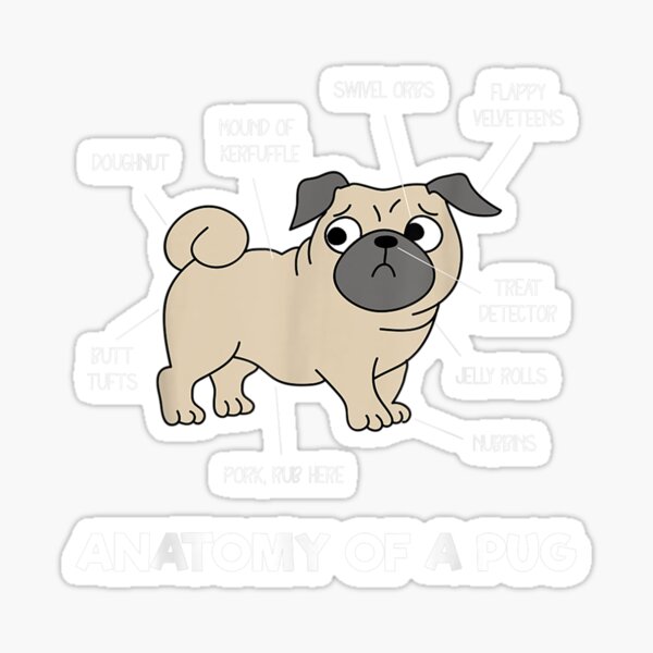Pegatina «Anatomía de las partes del cuerpo de un perro pug divertido ...