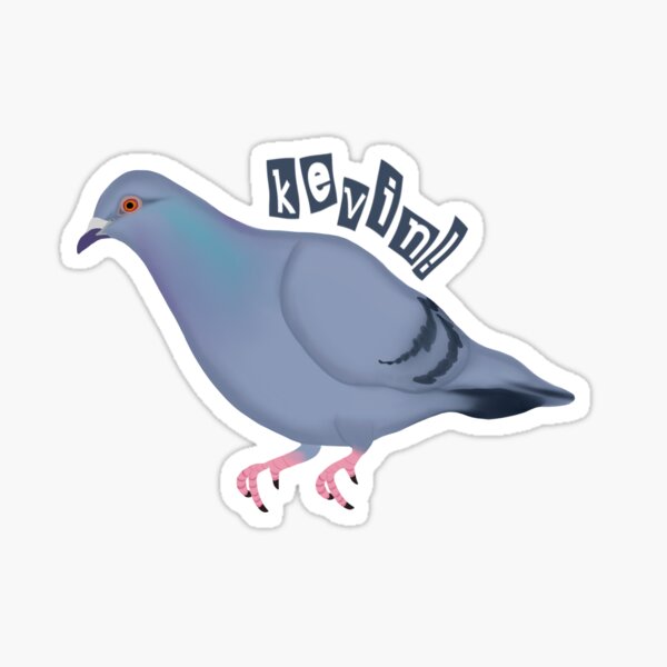 "KEVIN! ONE DIRECTION MEME" Sticker for Sale by Vintagevibing | Redbubble