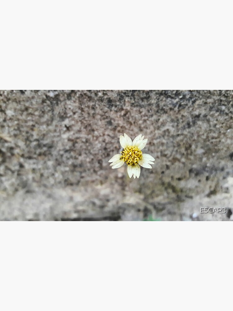 "Soul Flower" Poster by E5CAP3 | Redbubble