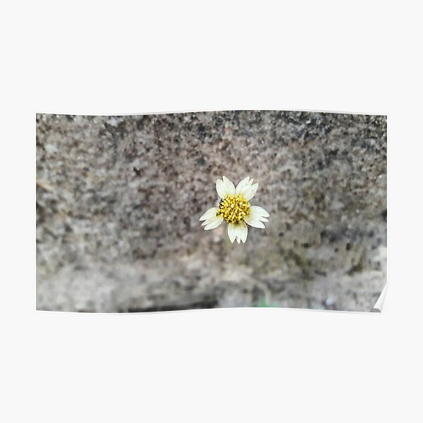 "Soul Flower" Poster by E5CAP3 | Redbubble