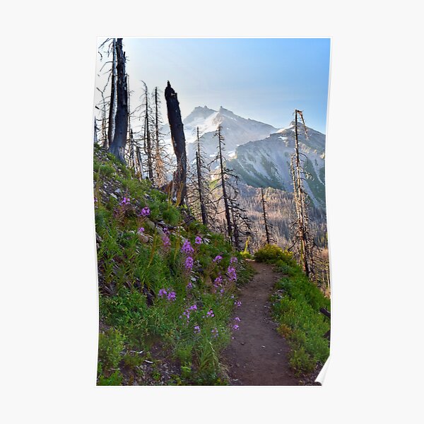 "Whitewater Trail" Poster for Sale by danahardy | Redbubble