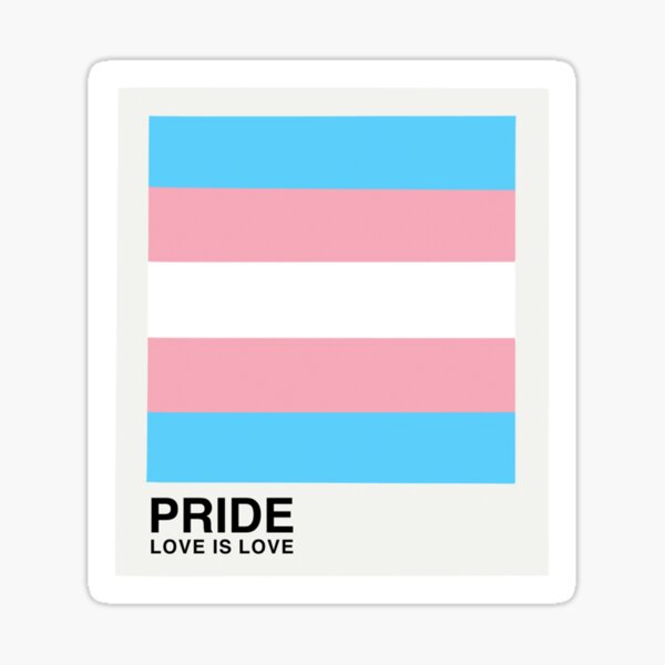 "Trans Pride Pantone" Sticker for Sale by devilstripdes | Redbubble