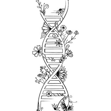 "Floral DNA transparent sketch" Photographic Print for Sale by ...