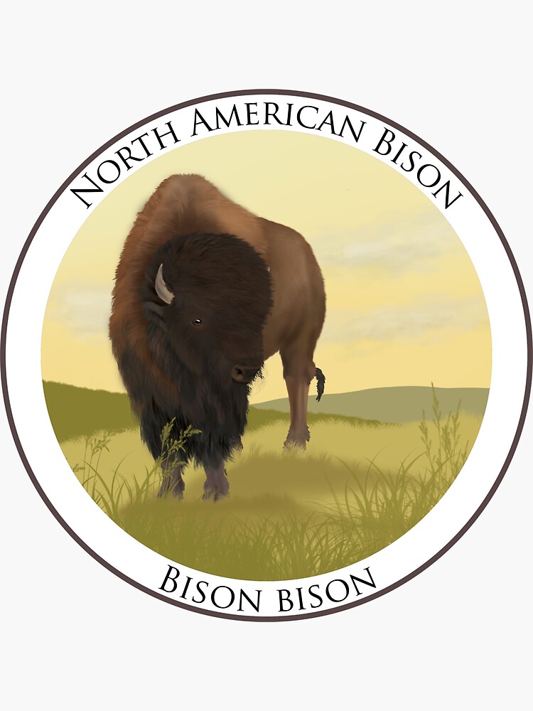 "North American Bison Badge" Sticker for Sale by SecondNatureMB | Redbubble