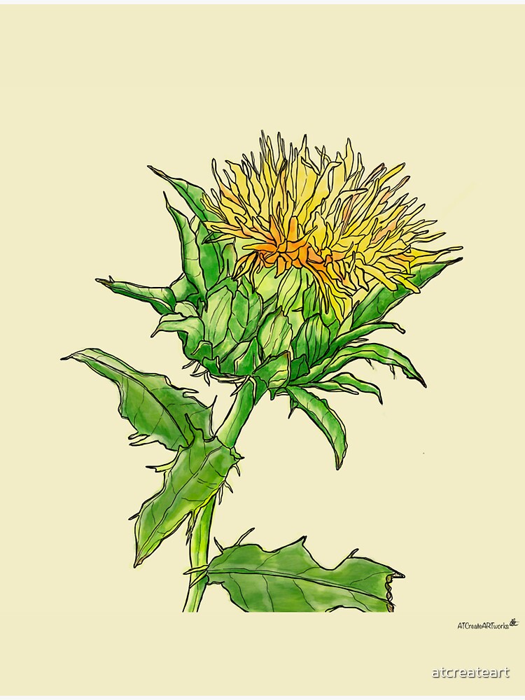 "Safflower Flower Art" Sticker by atcreateart | Redbubble