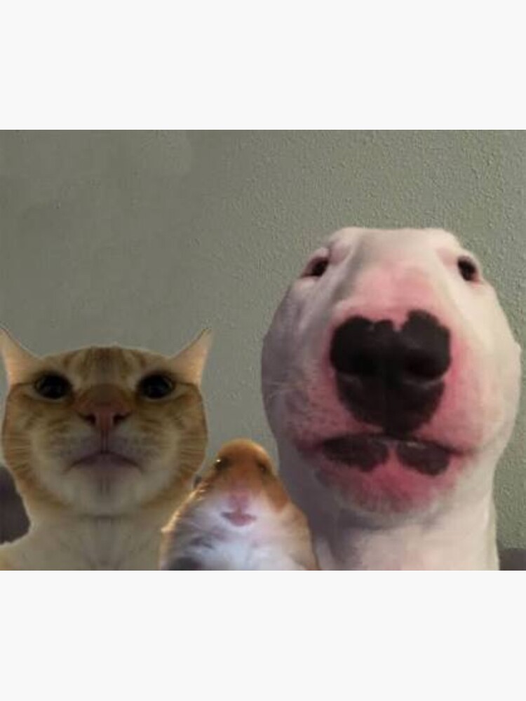 "The Council Meme" Art Print by sickomodus | Redbubble