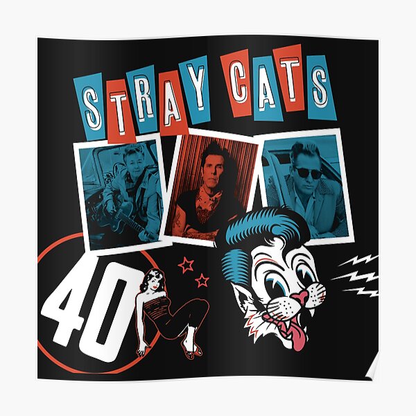 "Cat Stray " Poster for Sale by pauspaul | Redbubble