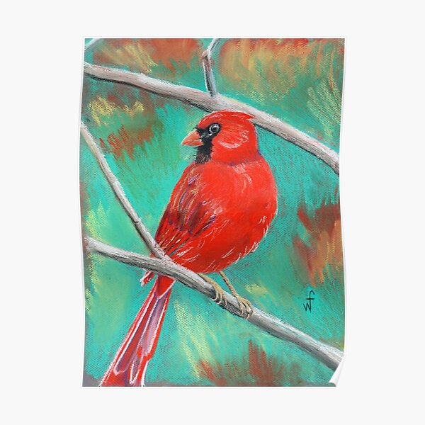 "Cardinal" Poster for Sale by WillFordArt | Redbubble