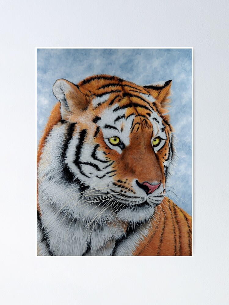 "Amur Tiger Portrait" Poster by eeviecuddles | Redbubble