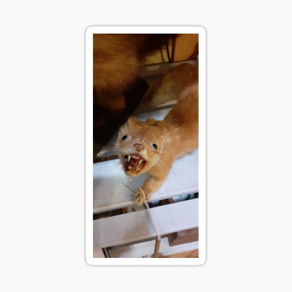 "Bad Taxidermy " Sticker by pixelagon | Redbubble