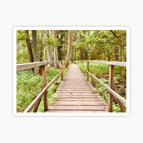 "Bridge in the forest" Sticker for Sale by IDesign23 | Redbubble