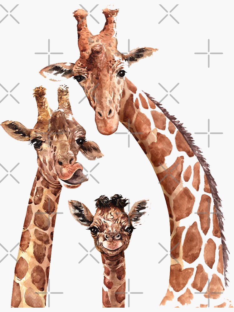 "Giraffe Art" Sticker for Sale by zanbo | Redbubble