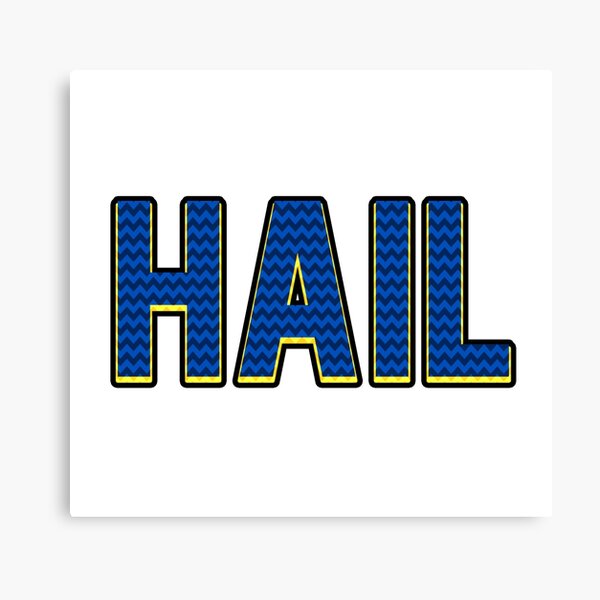 Michigan Wolverines Canvas Prints | Redbubble