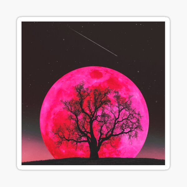 "Pink Moon Rise & Tree Silhouette" Sticker for Sale by ShirtLoad ...