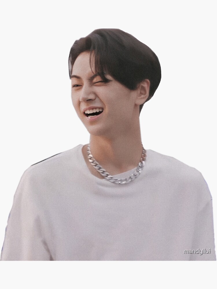 "Jay Smiling I-LAND" Sticker by mandyllui | Redbubble