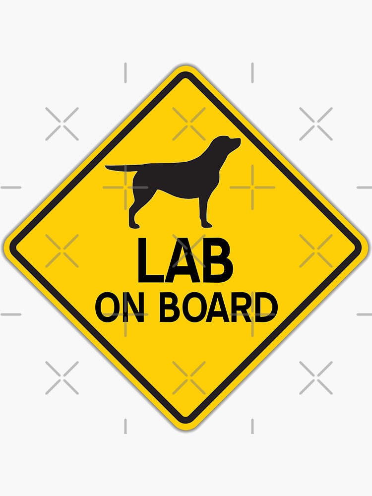 "Lab on Board" Sticker for Sale by bcv122 | Redbubble