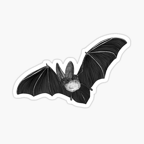 "Big Ears" Sticker for Sale by haleymoonart | Redbubble