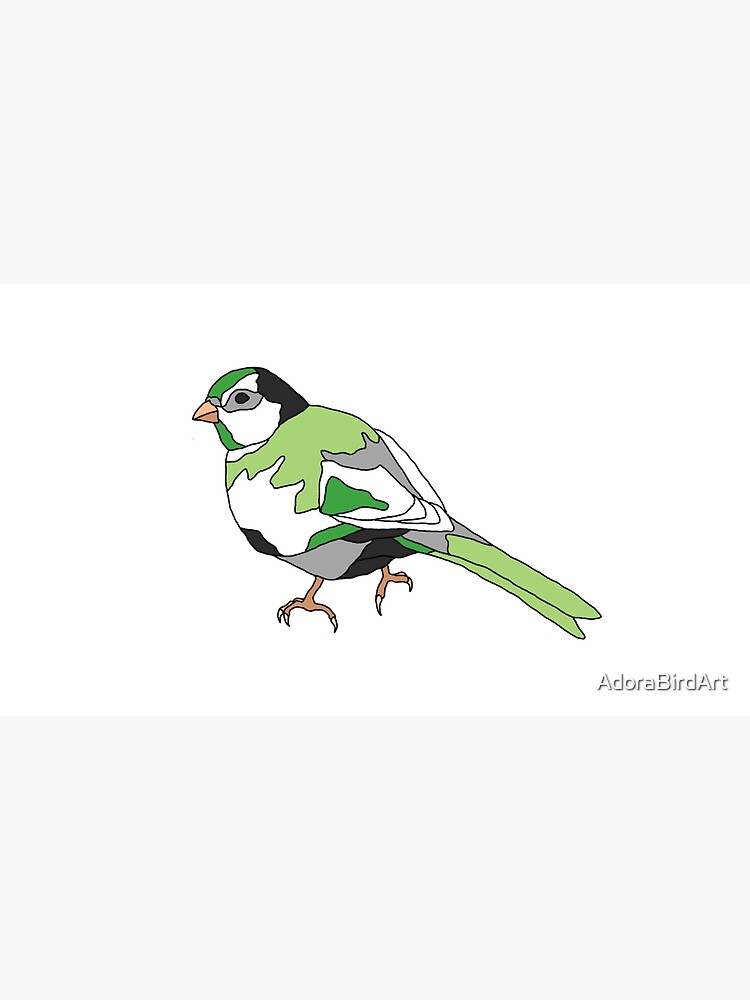 "Aro Pride Canary" Poster by AdoraBirdArt | Redbubble