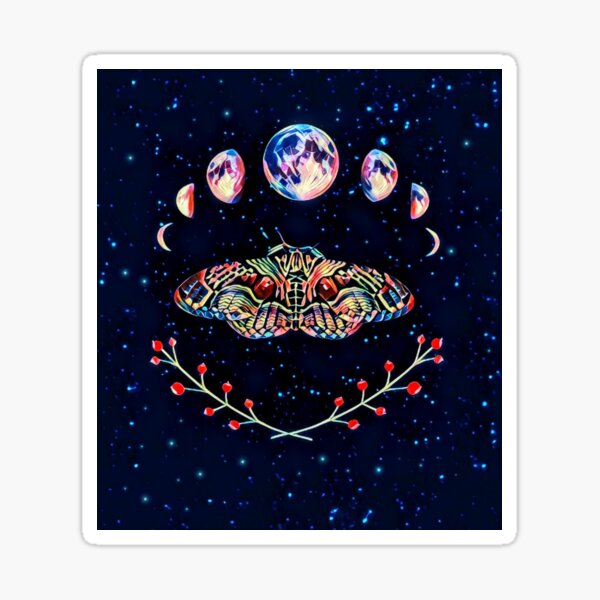 "Brahmin Moon Phases" Sticker for Sale by Runciblespoonau | Redbubble
