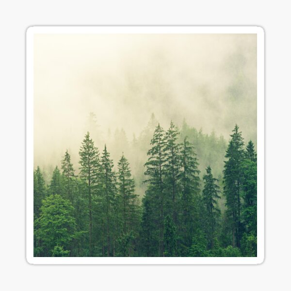 Greenscale Gifts & Merchandise for Sale | Redbubble