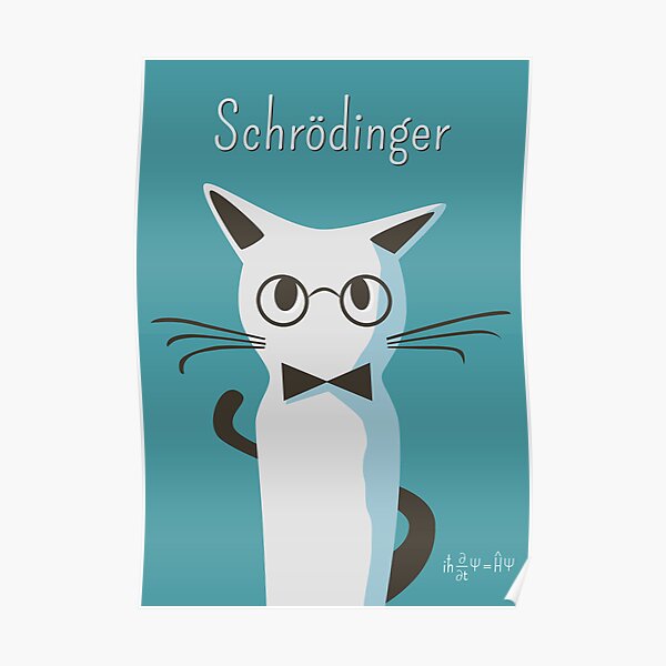 "Schrodinger" Poster by Jane-Mathieu | Redbubble