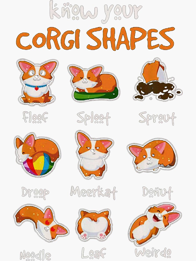"Know Your Corgi Shapes" Sticker for Sale by Isabellchas | Redbubble