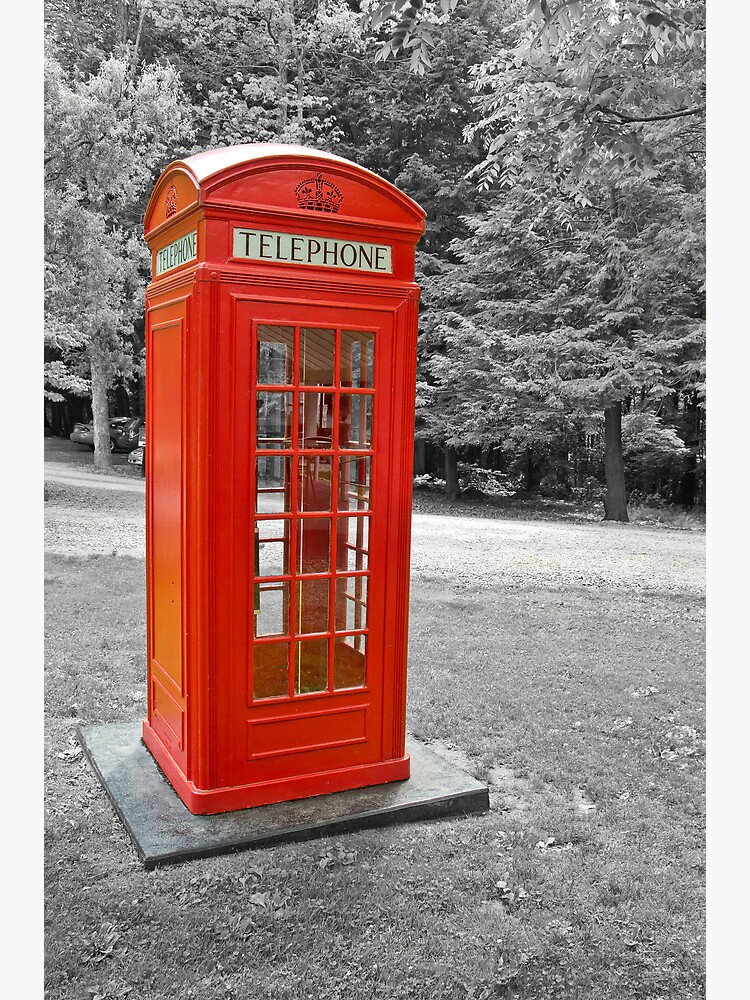 How Do I Enter My Password? Premium Matte Vertical Poster sold by ...