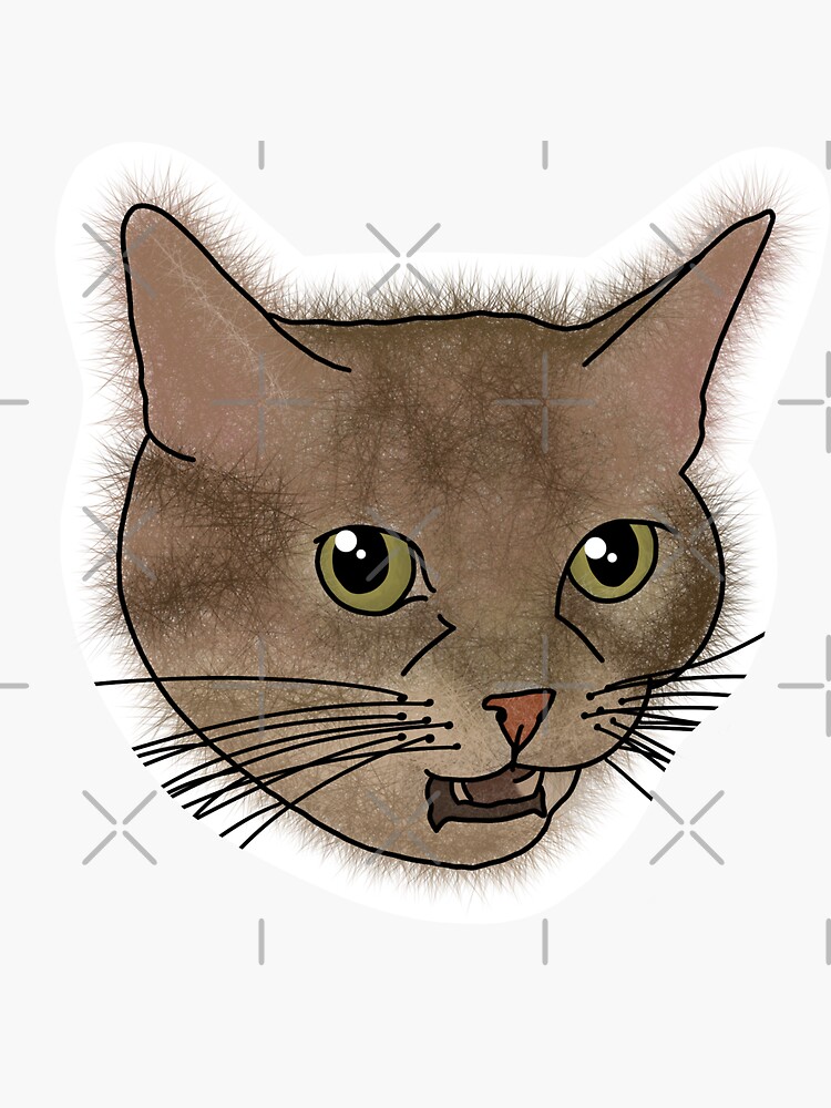 "Lucy the Cat - Stank Face" Sticker for Sale by mzztina | Redbubble