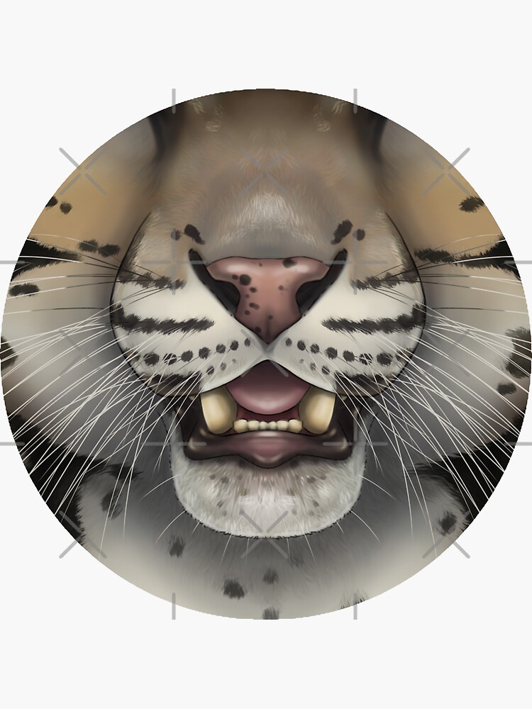 "Clouded Leopard Face" Sticker for Sale by SidianArts | Redbubble