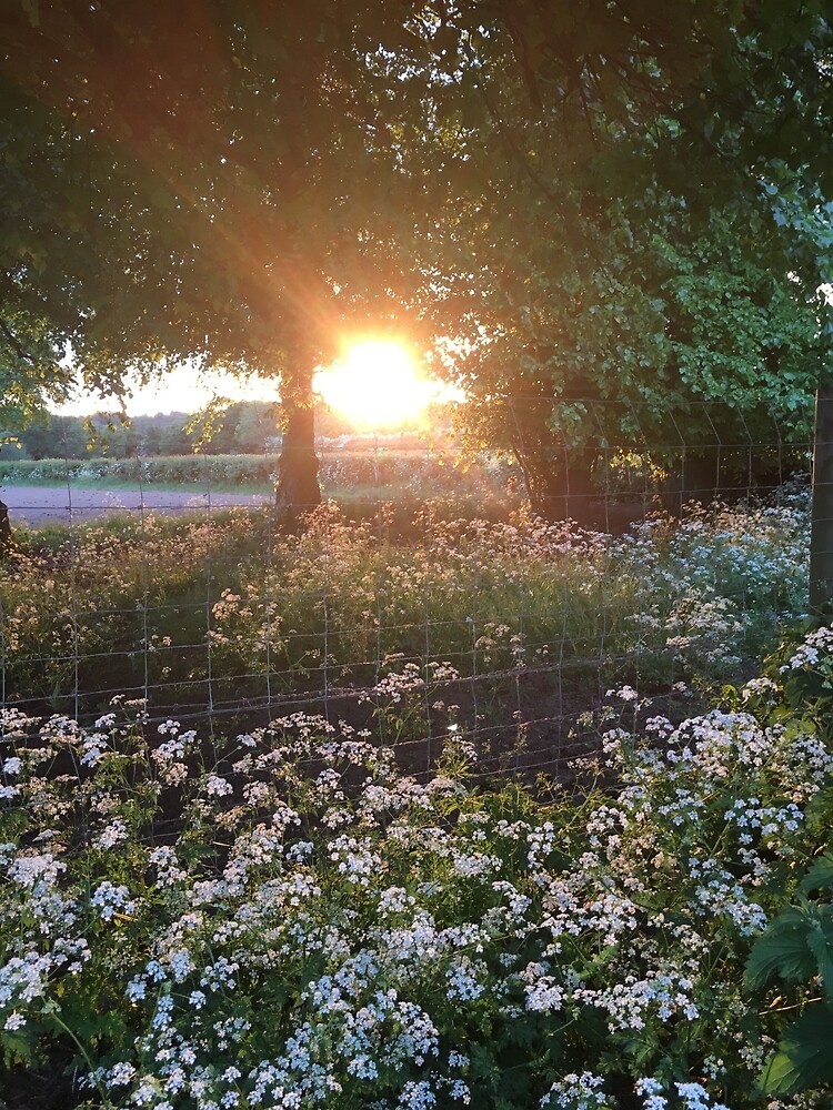 "Cottagecore aesthetic flower field" Poster by curiousnoname | Redbubble