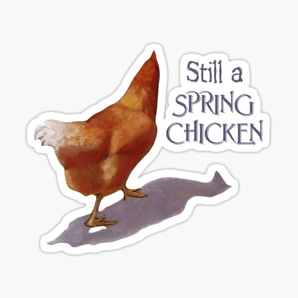 "Still a Spring Chicken, Artwork of Walking Hen, Humor" Sticker by ...