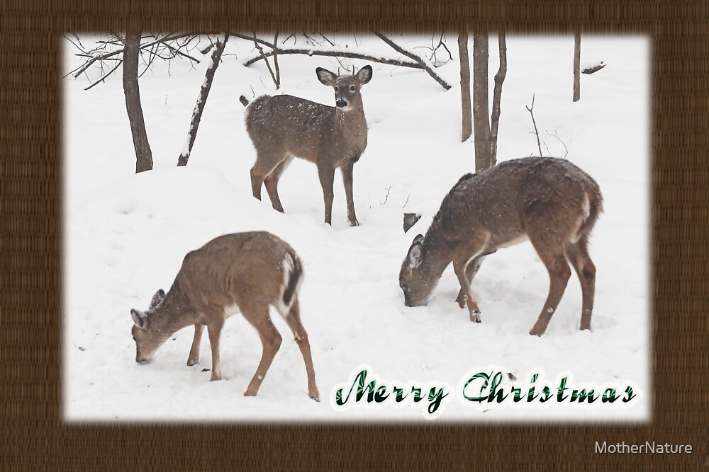 "Merry Christmas Card - Whitetail Deer In Snow" by MotherNature | Redbubble