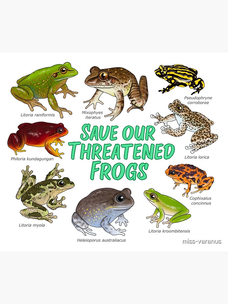 "Save Our Threatened Frogs" Poster for Sale by miss-varanus | Redbubble
