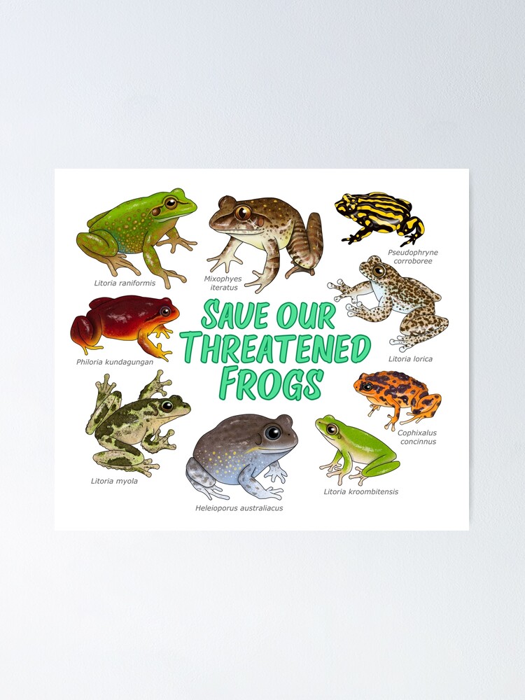 "Save Our Threatened Frogs" Poster for Sale by miss-varanus | Redbubble