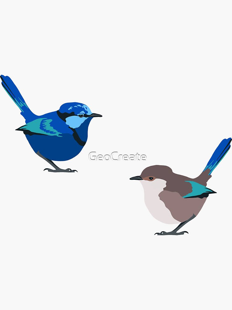 "Superb Fairy Wrens" Sticker for Sale by GeoCreate | Redbubble