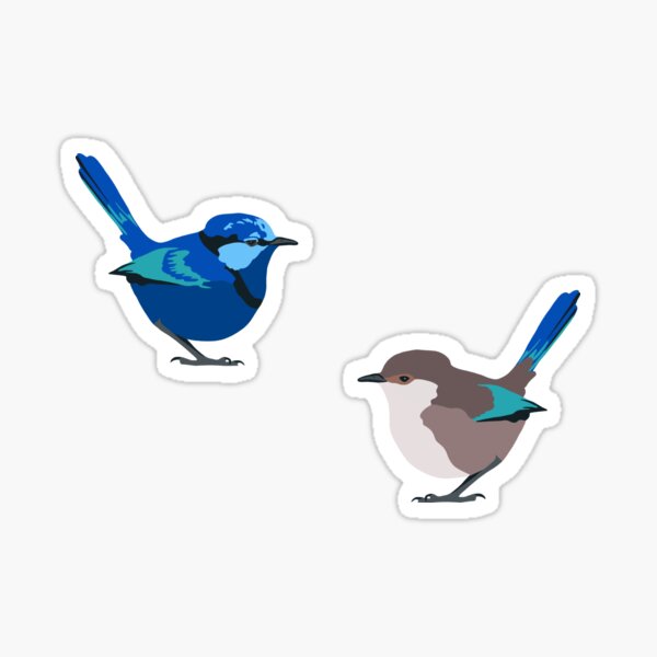 "Superb Fairy Wrens" Sticker for Sale by GeoCreate | Redbubble